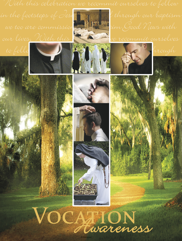 National Vocation Awareness 2017 A | Diocesan