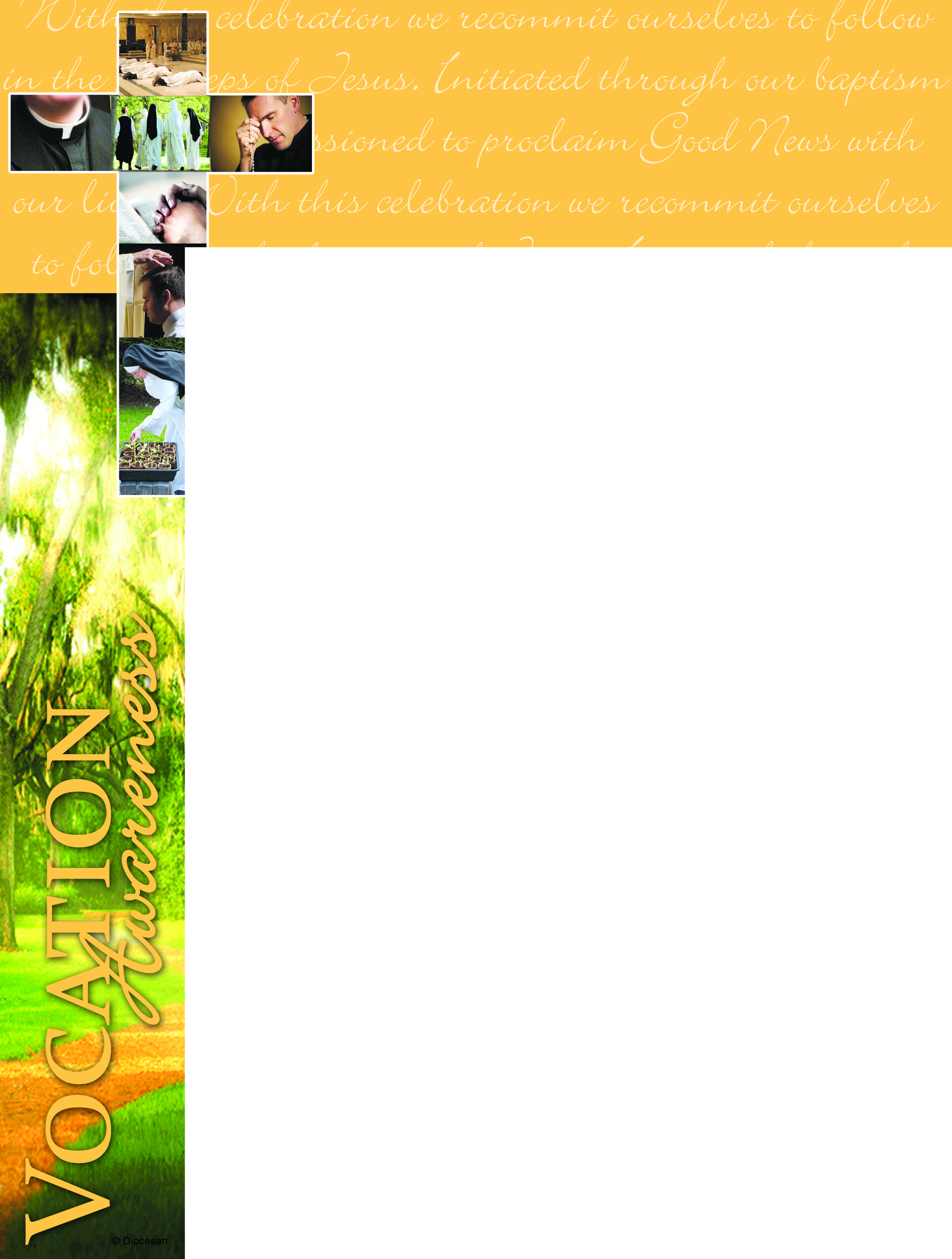 National Vocation Awareness 2017 D Wrapper | Diocesan