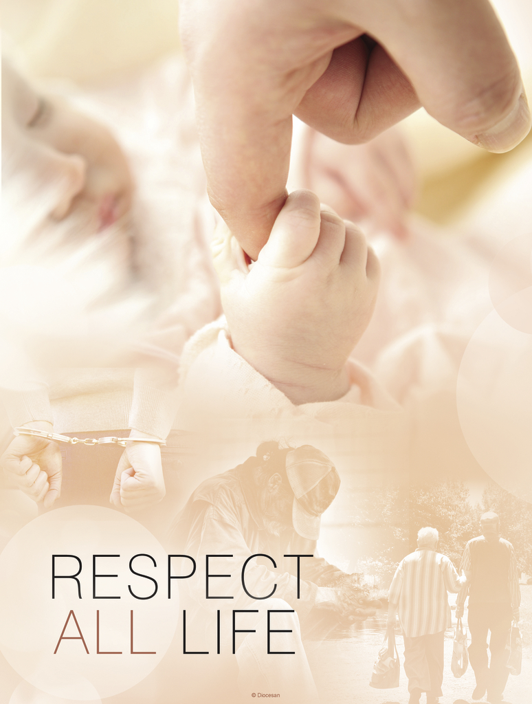 Respect Life D | Diocesan