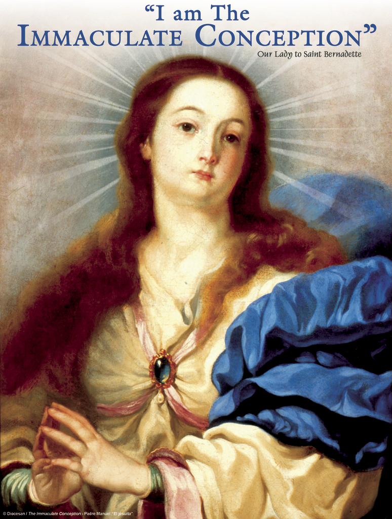 Immaculate Conception El Jesuita | Diocesan
