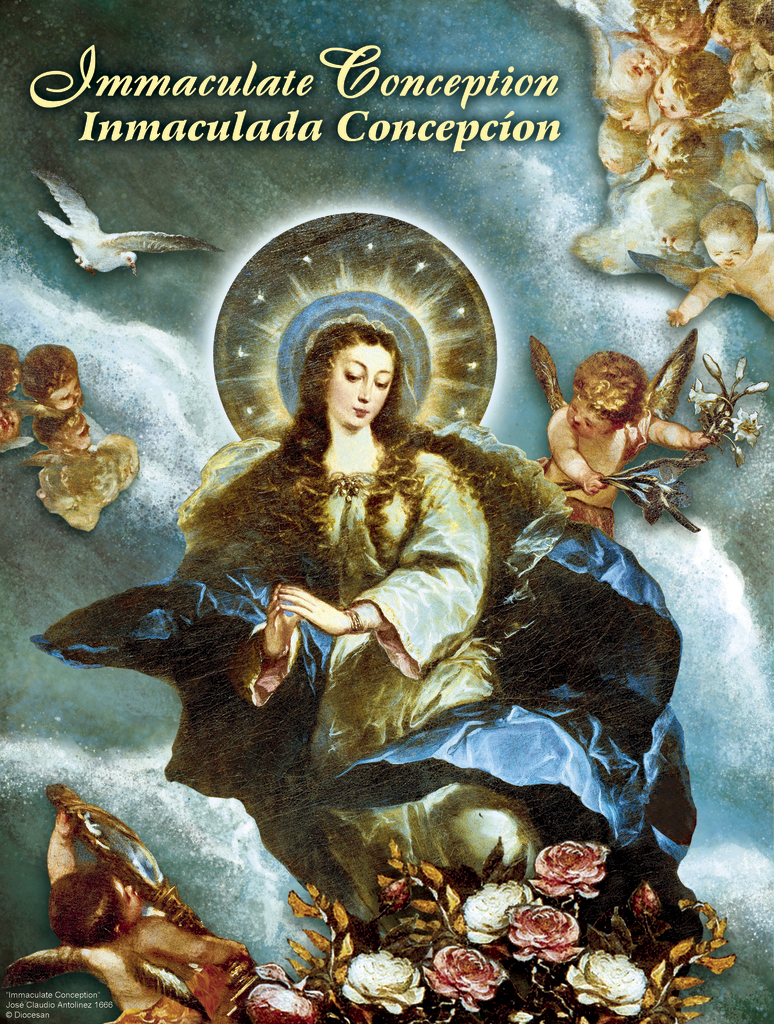 Immaculate Conception Traditional | Diocesan