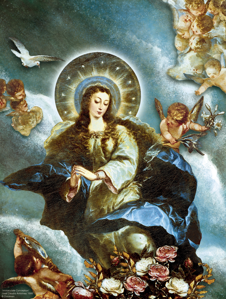 Immaculate Conception Traditional Artwork | Diocesan