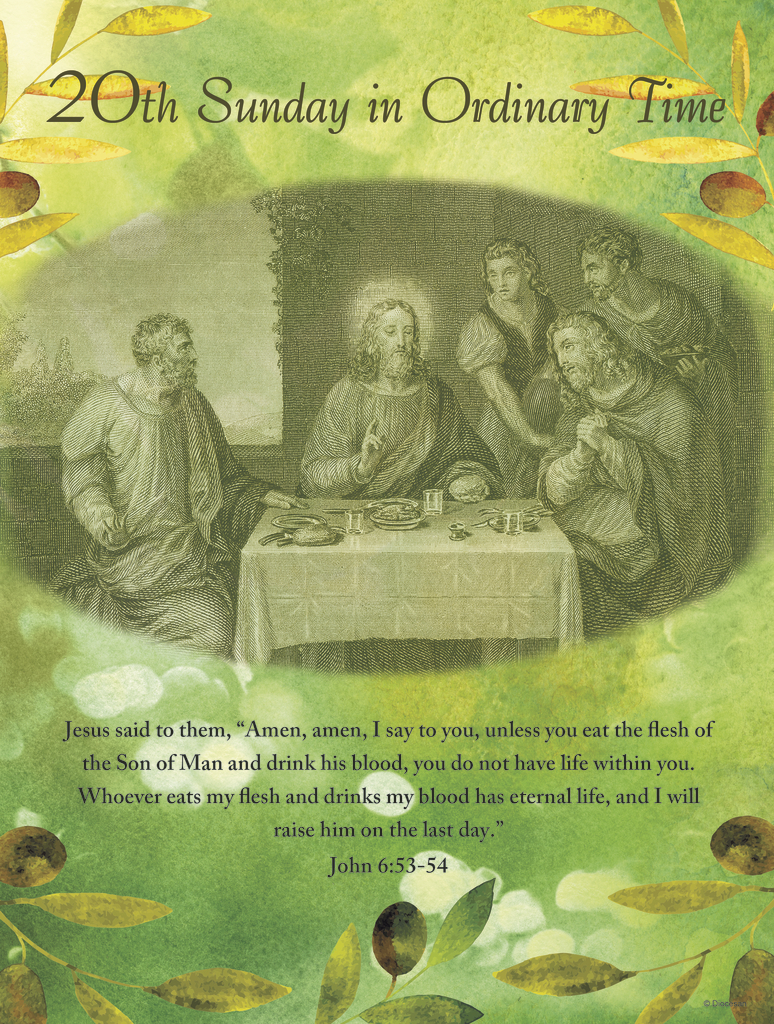 Ordinary Time 2018 - Week 20 - Olive Branch | Diocesan
