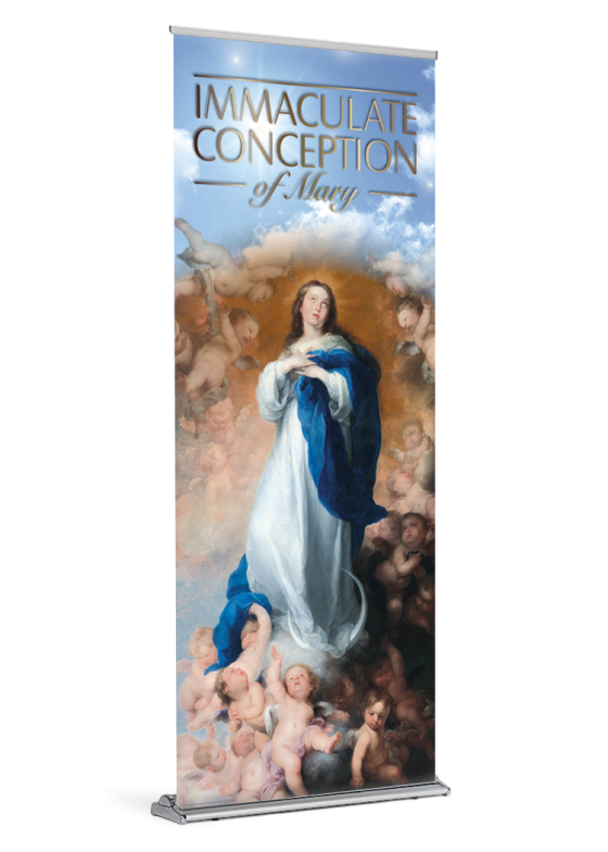 Visited by Angels Immaculate Conception of the Blessed Virgin Mary ...