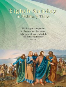 8th Sunday in Ordinary Time – Diocesan