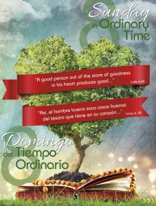 8th Sunday in Ordinary Time – Diocesan