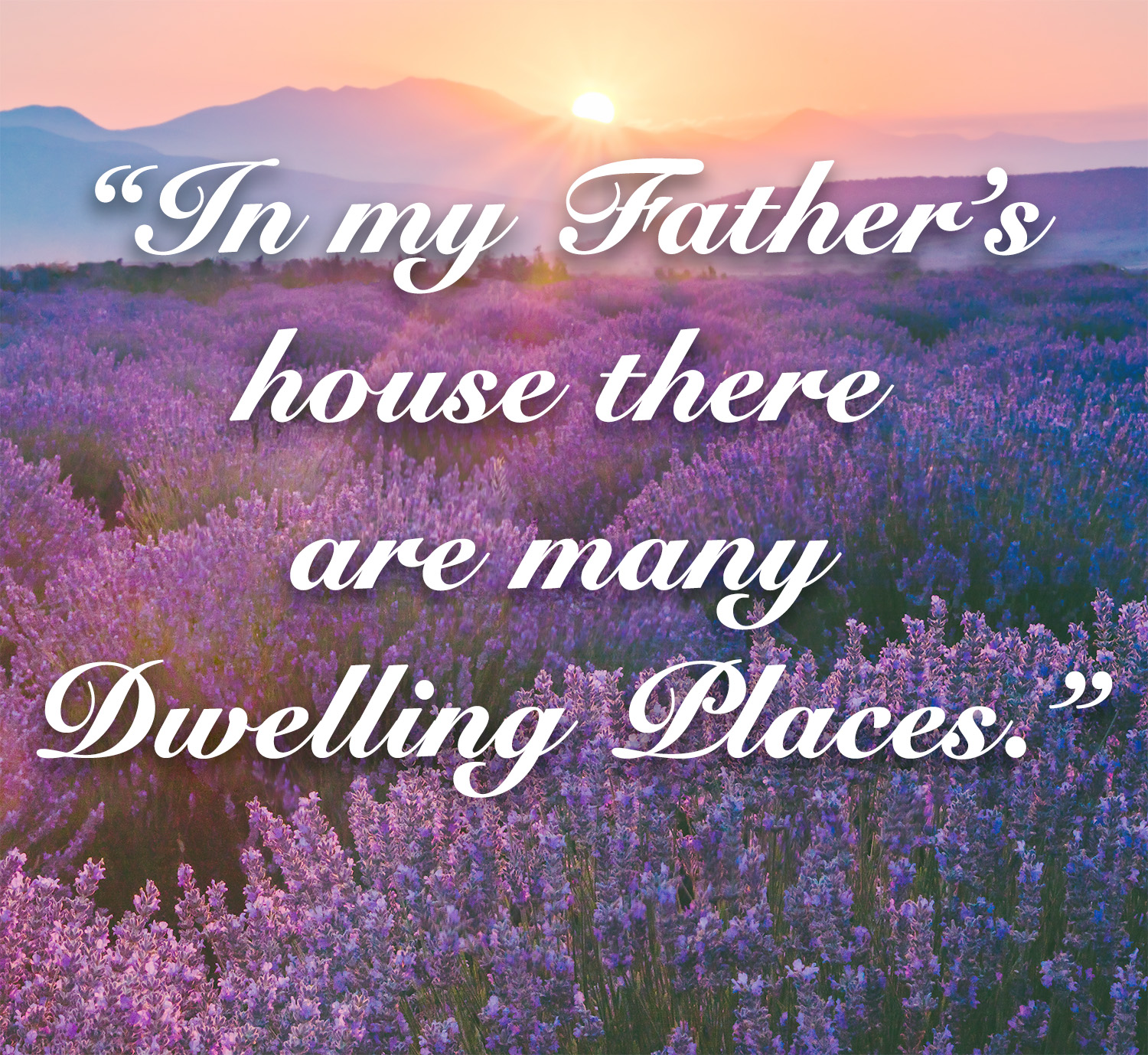 5th Sunday of Easter – Diocesan