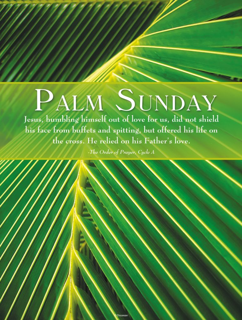 Palm Sunday Palm | Diocesan