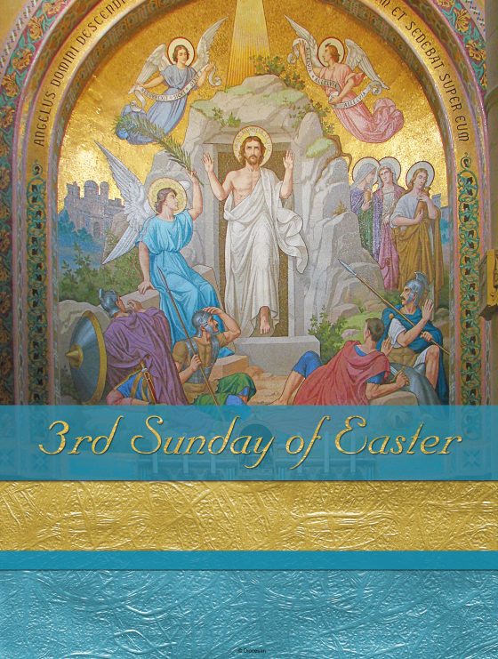 3rd Sunday of Easter - Blue and Gold | Diocesan