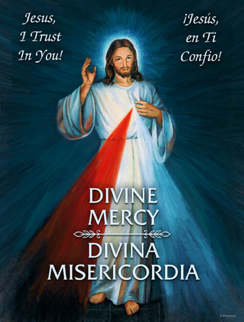 Divine Mercy Traditional Cover BIL | Diocesan