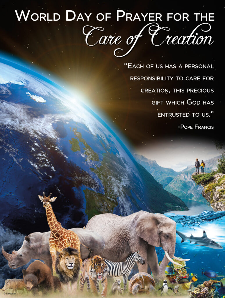 Care of Creation - Gift from God | Diocesan