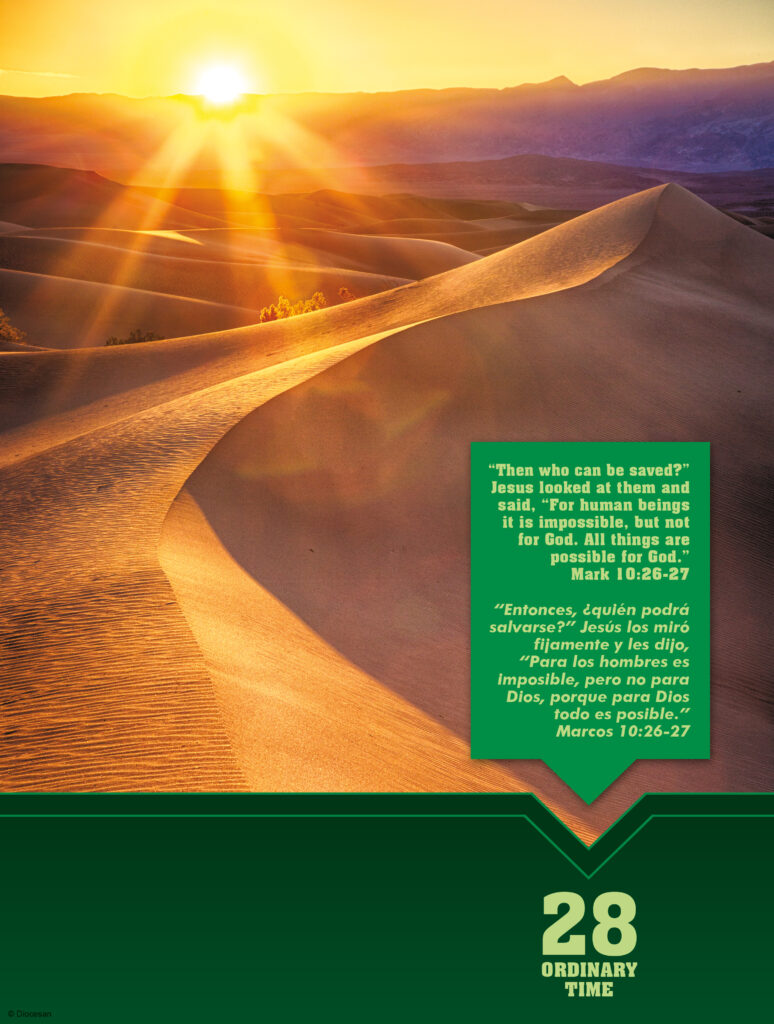 28th Sunday of Ordinary Time - Scenic - Bilingual | Diocesan