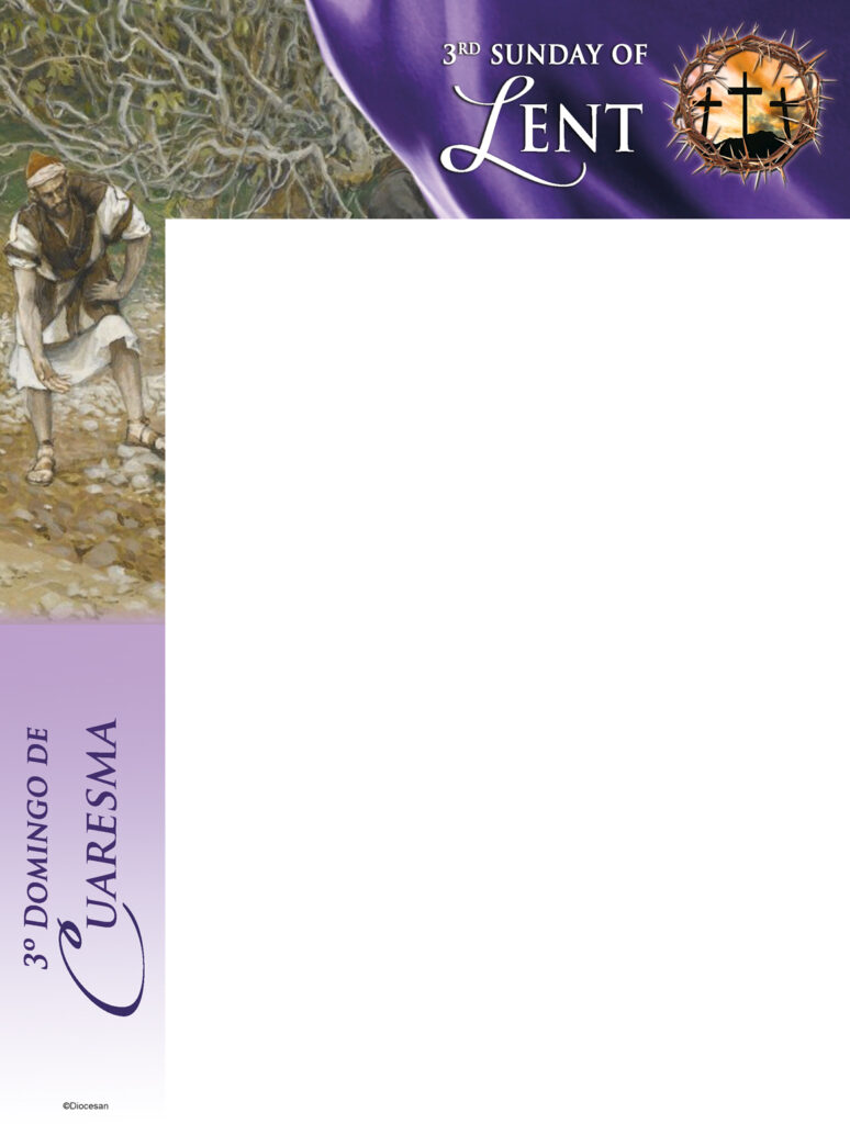 Lent Week 3 - Cycle C - Traditional - Bilingual Wrapper | Diocesan