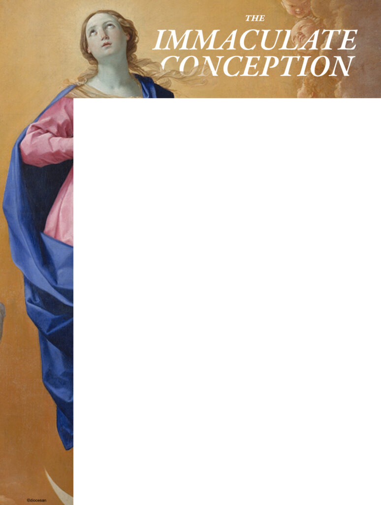 The Immaculate Conception Wrapper | Diocesan