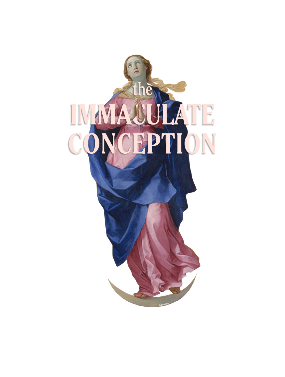 The Immaculate Conception Clipped Full Page | Diocesan