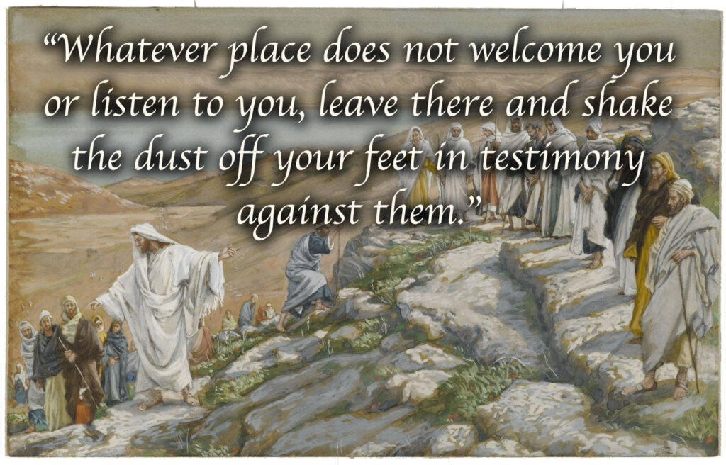 Ordinary Time - Week 15 - Gospel - English | Diocesan