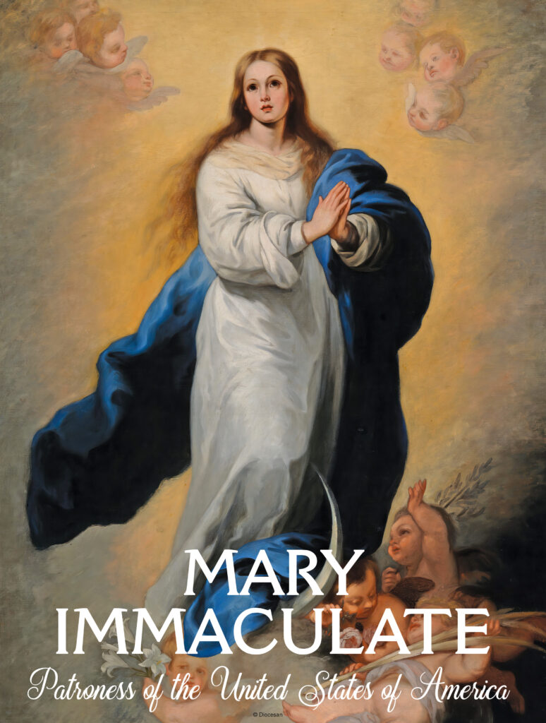 Patroness of America Mary Immaculate Cover | Diocesan