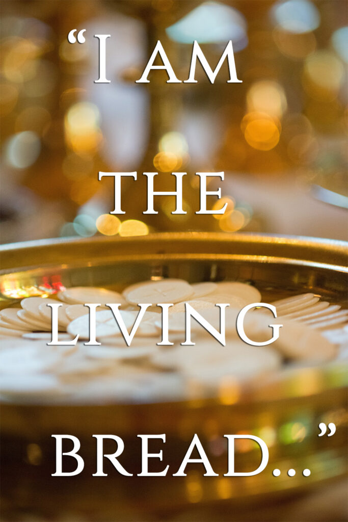 Ordinary Time - Week 20 - Gospel - English - B | Diocesan