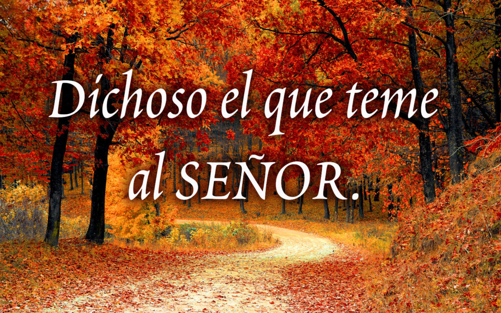 Ordinary Time - Week 27 - Response - Spanish - B | Diocesan