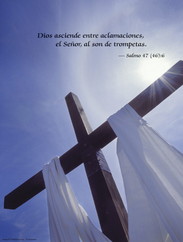 Ascension of the Lord D Cover - Spanish | Diocesan