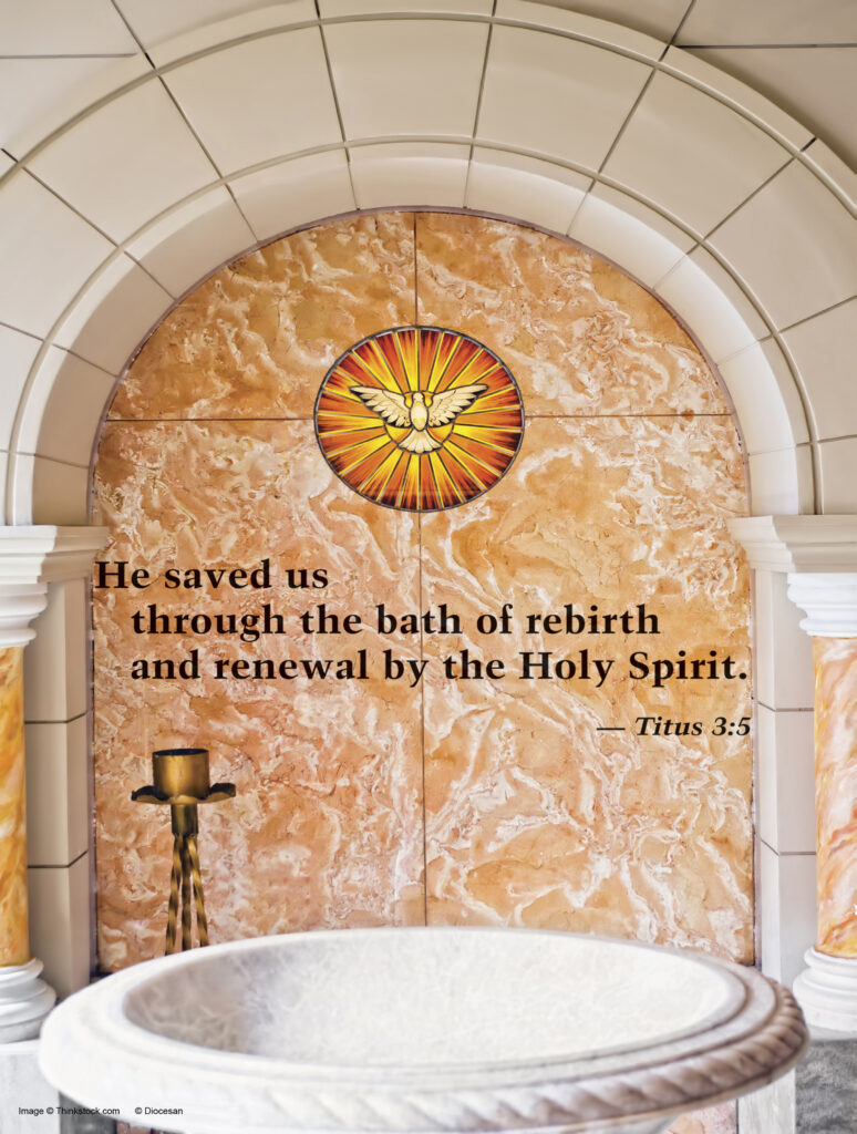 Baptism of the Lord Cover - English | Diocesan