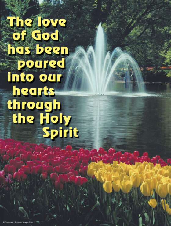 Holy Trinity Cover - English | Diocesan