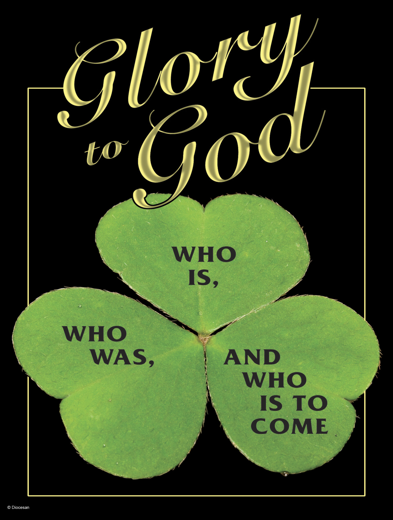 Holy Trinity B Cover - English | Diocesan