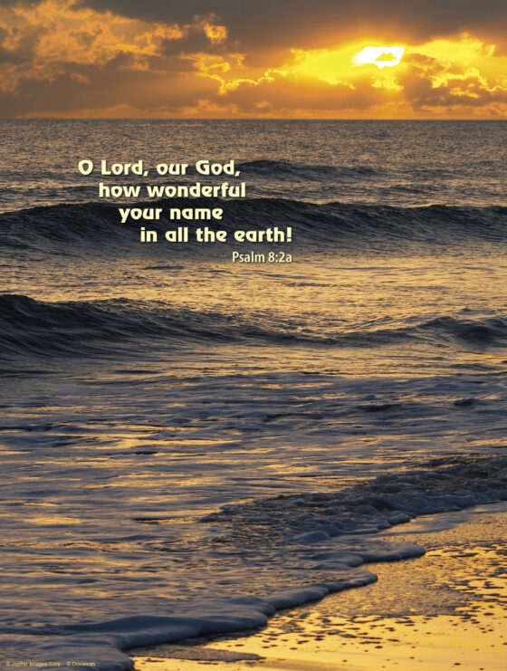 Holy Trinity C Cover - English | Diocesan