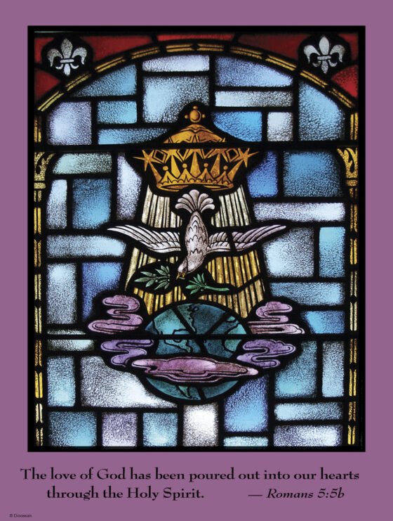 Holy Trinity D Cover - English | Diocesan