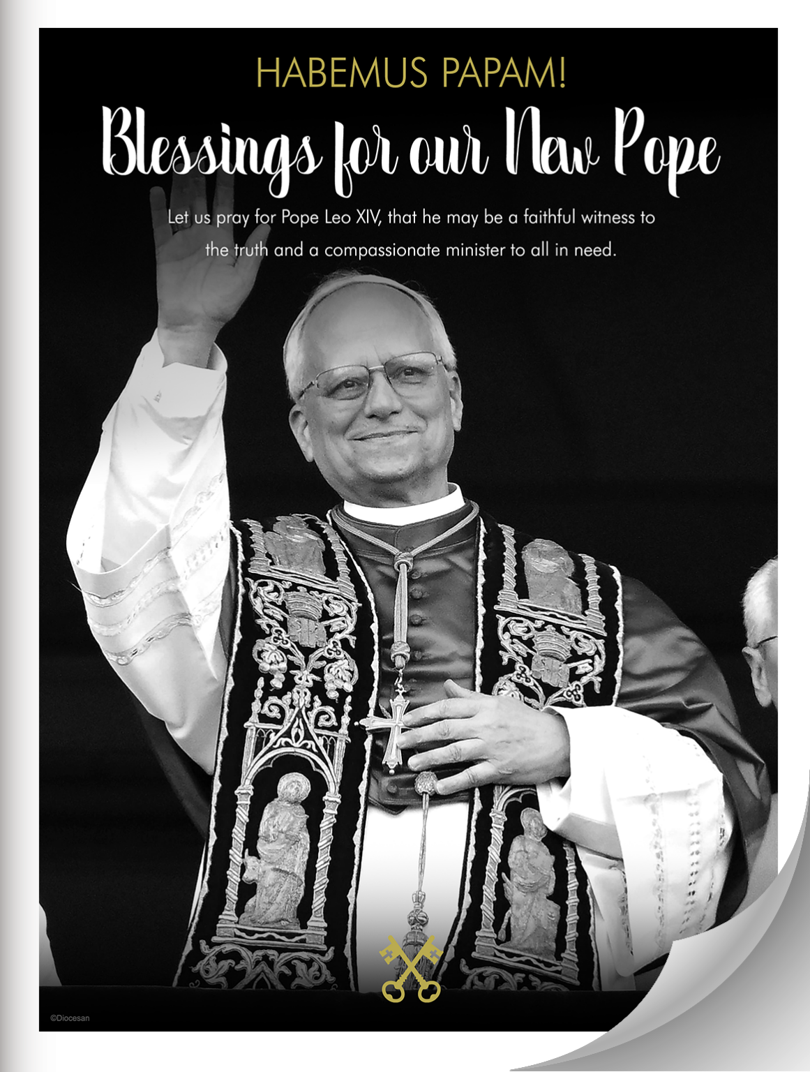 Pope Leo XIV | Diocesan