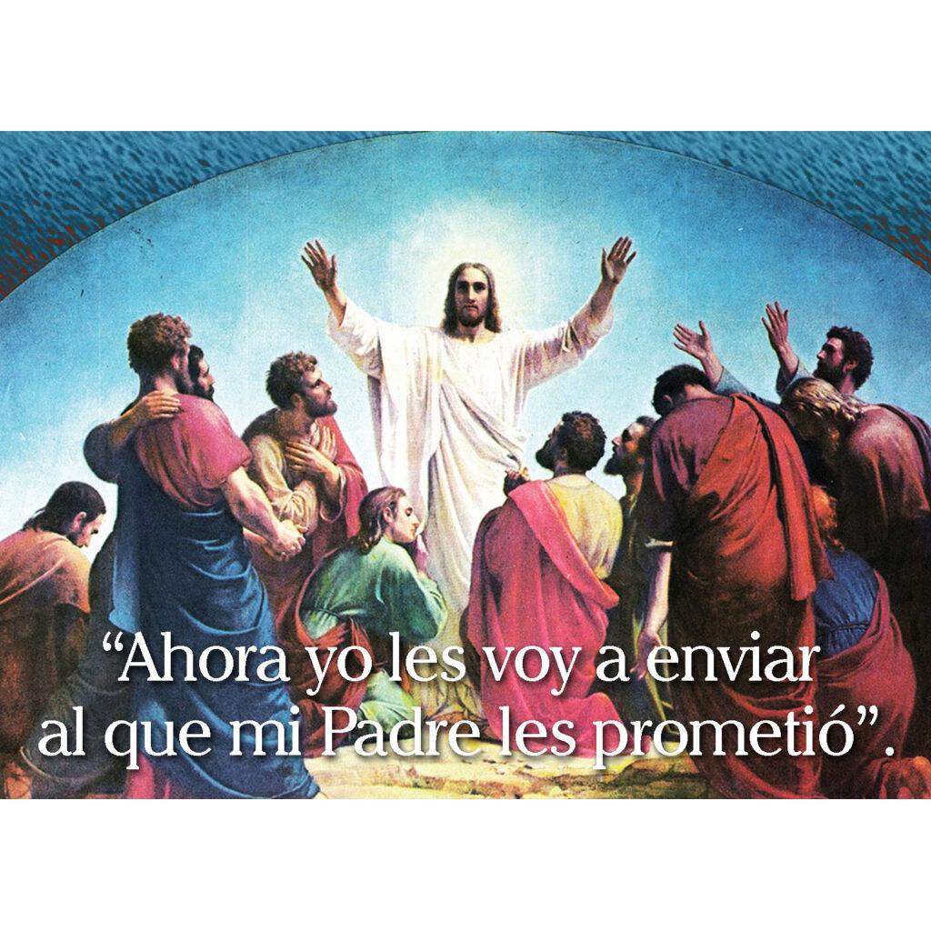 Ascension - Gospel - Spanish - V2 | Diocesan