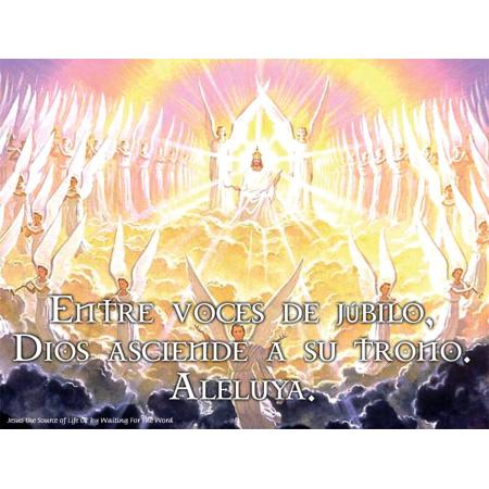 Ascension - Response - Spanish - V2 | Diocesan