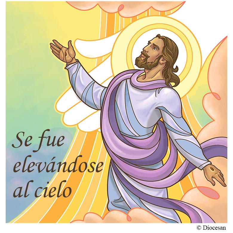Easter - Ascension of the Lord - Spanish | Diocesan