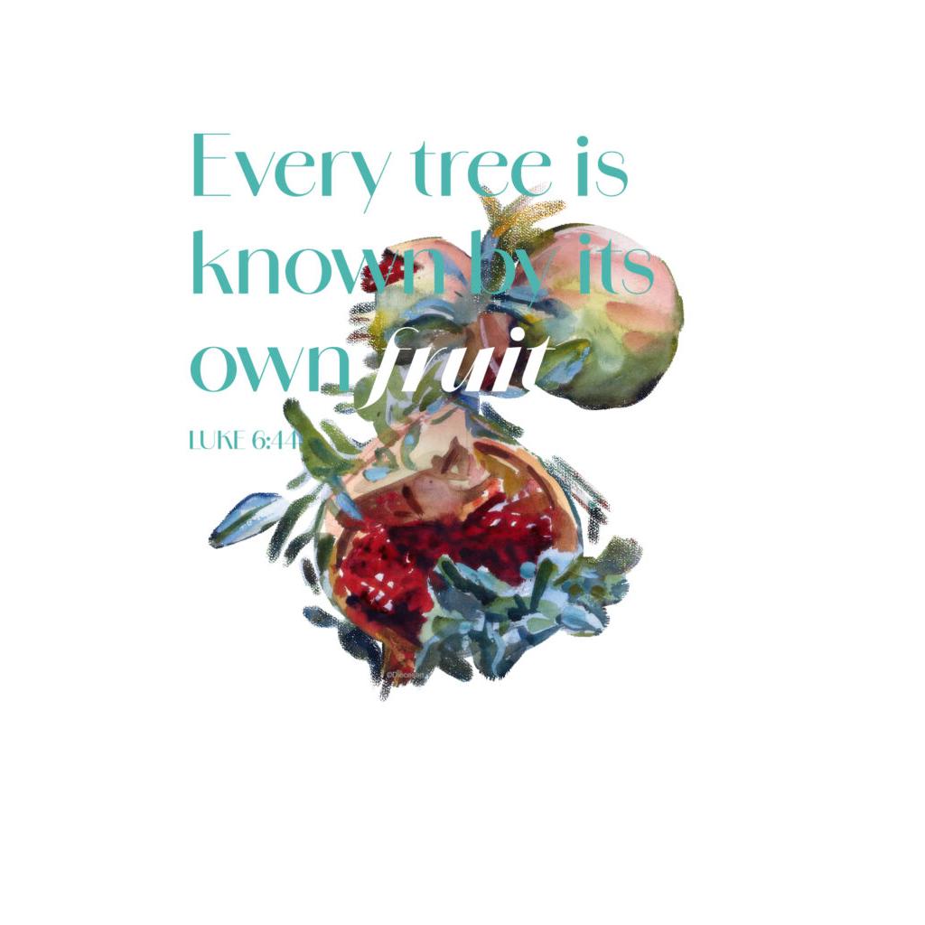 Every Tree Is Known By Its Own Fruit Clipped | Diocesan