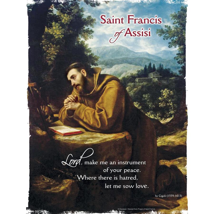 St. Francis of Assisi in Prayer | Diocesan