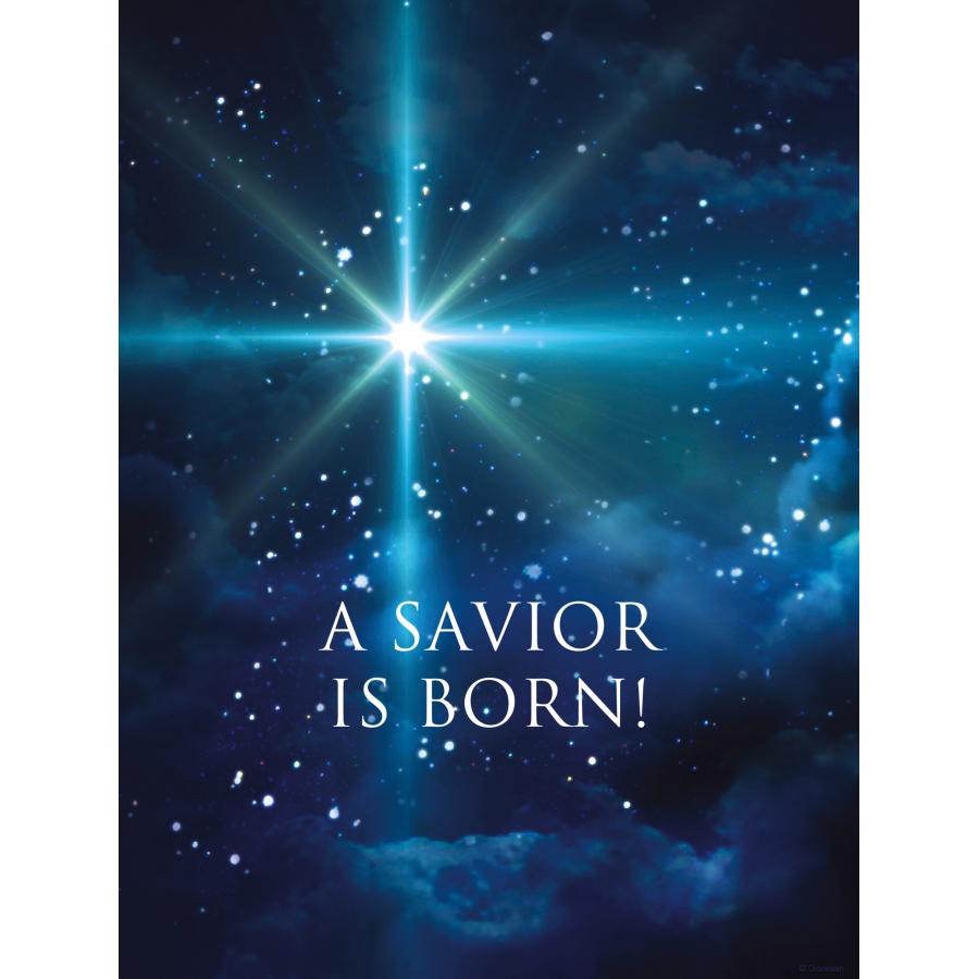 A Savior Is Born | Diocesan