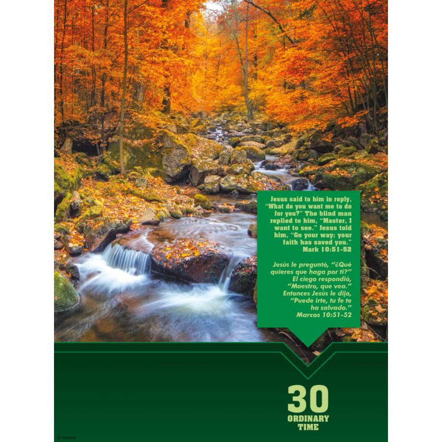 30th Sunday of Ordinary Time - Scenic - Bilingual | Diocesan