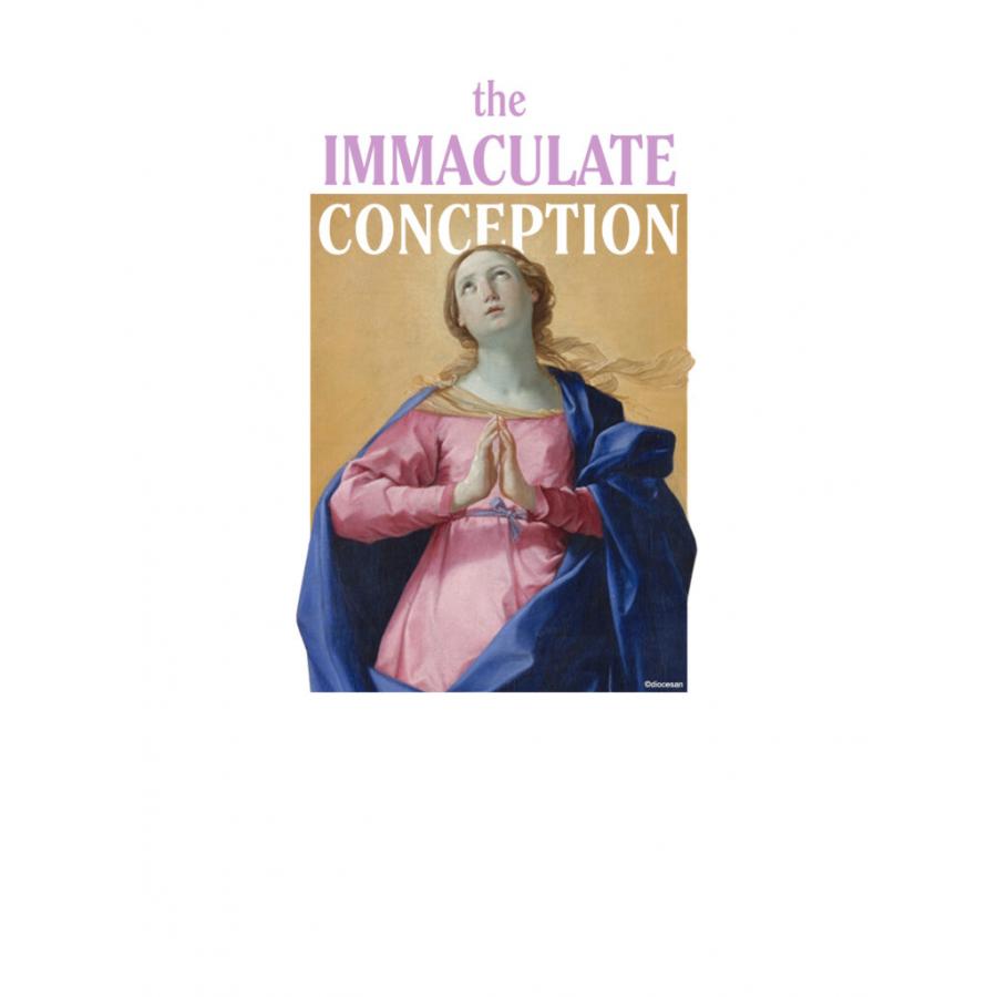 The Immaculate Conception Framed Full Page | Diocesan