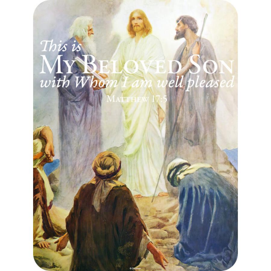 This is My Beloved Son with Whom I Am Well Pleased | Diocesan