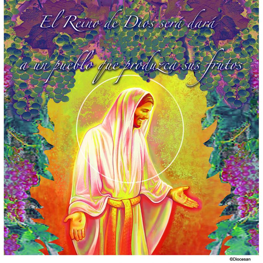 Ordinary Time - Week 27 - Spanish | Diocesan