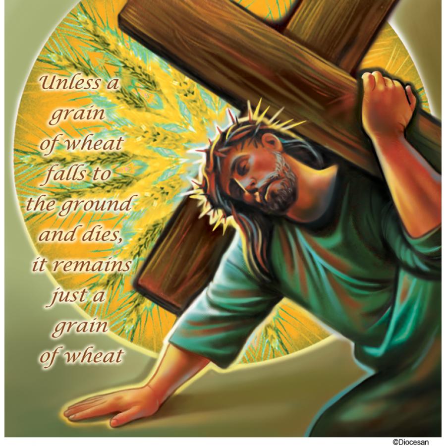 Lent - Week 5 - English | Diocesan