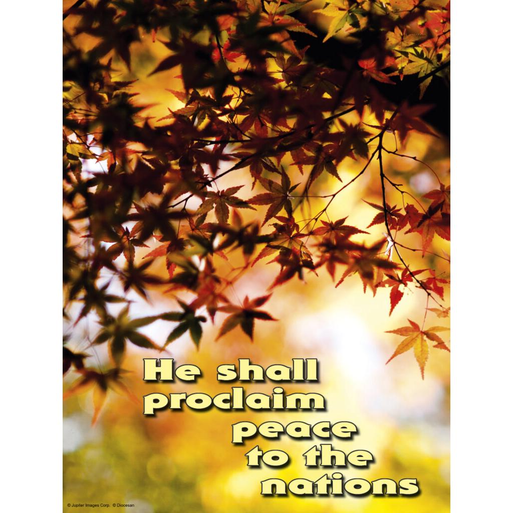 Fourteenth Sunday of Ordinary Time B Cover – English – Diocesan