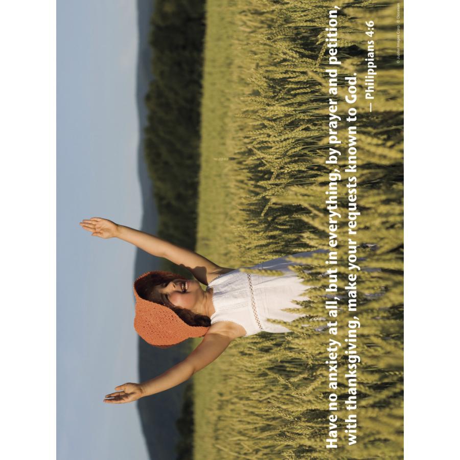 Twenty-seventh Sunday of Ordinary Time C Cover – English – Diocesan