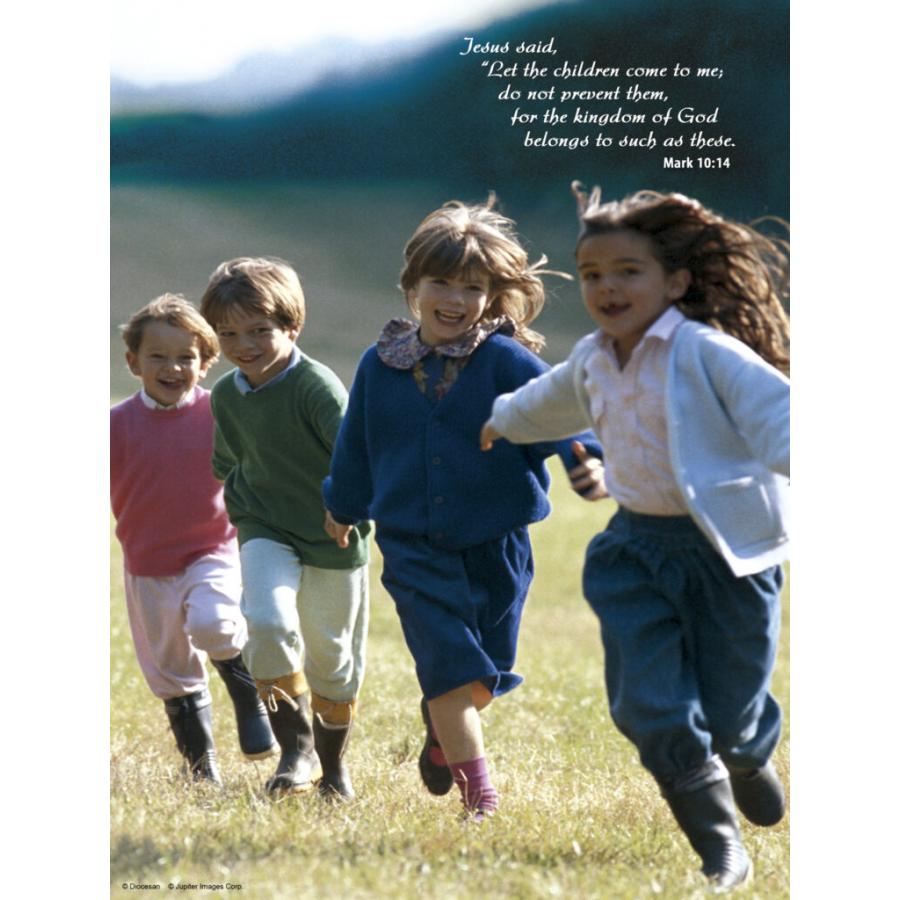 Twenty-seventh Sunday of Ordinary Time C Cover - English | Diocesan