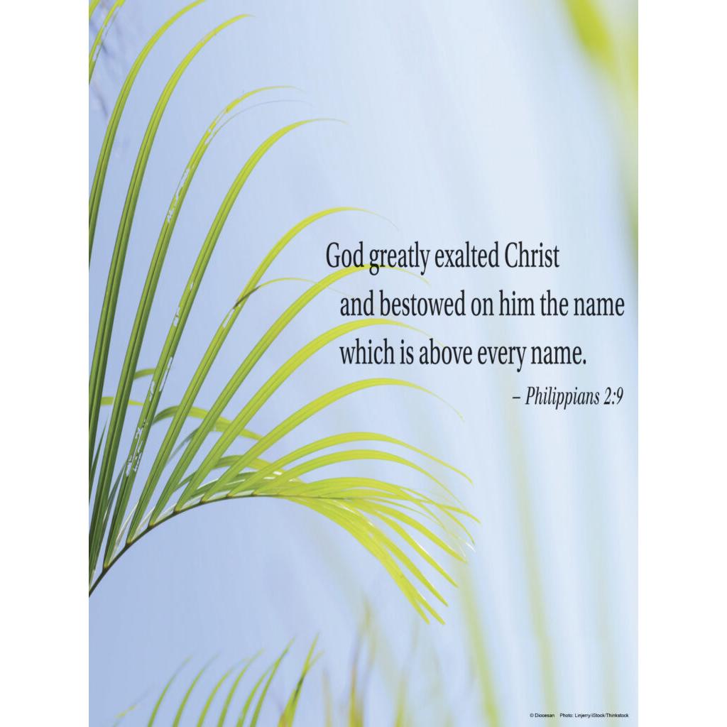 Palm Sunday D Cover - English | Diocesan