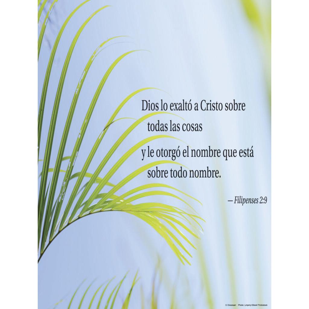 Palm Sunday D Cover - Spanish | Diocesan