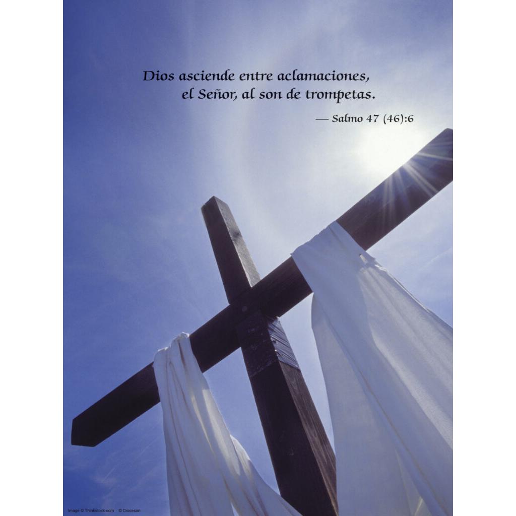 Ascension of the Lord Cover – Spanish – Diocesan