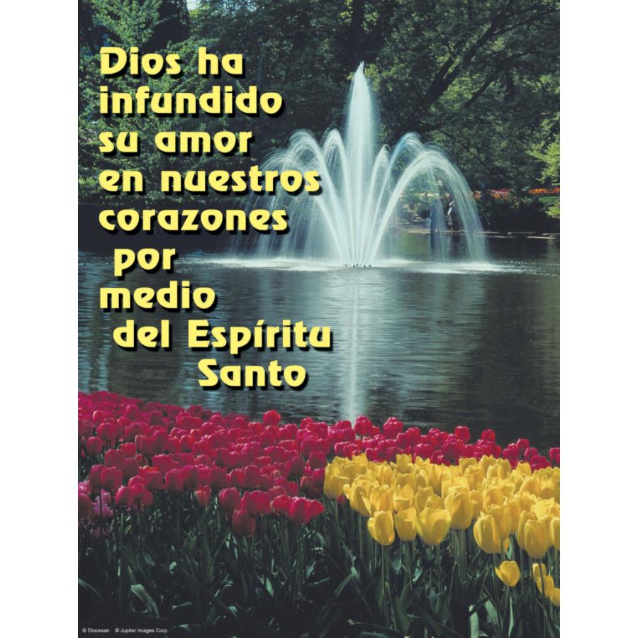 Holy Trinity Cover – Spanish – Diocesan