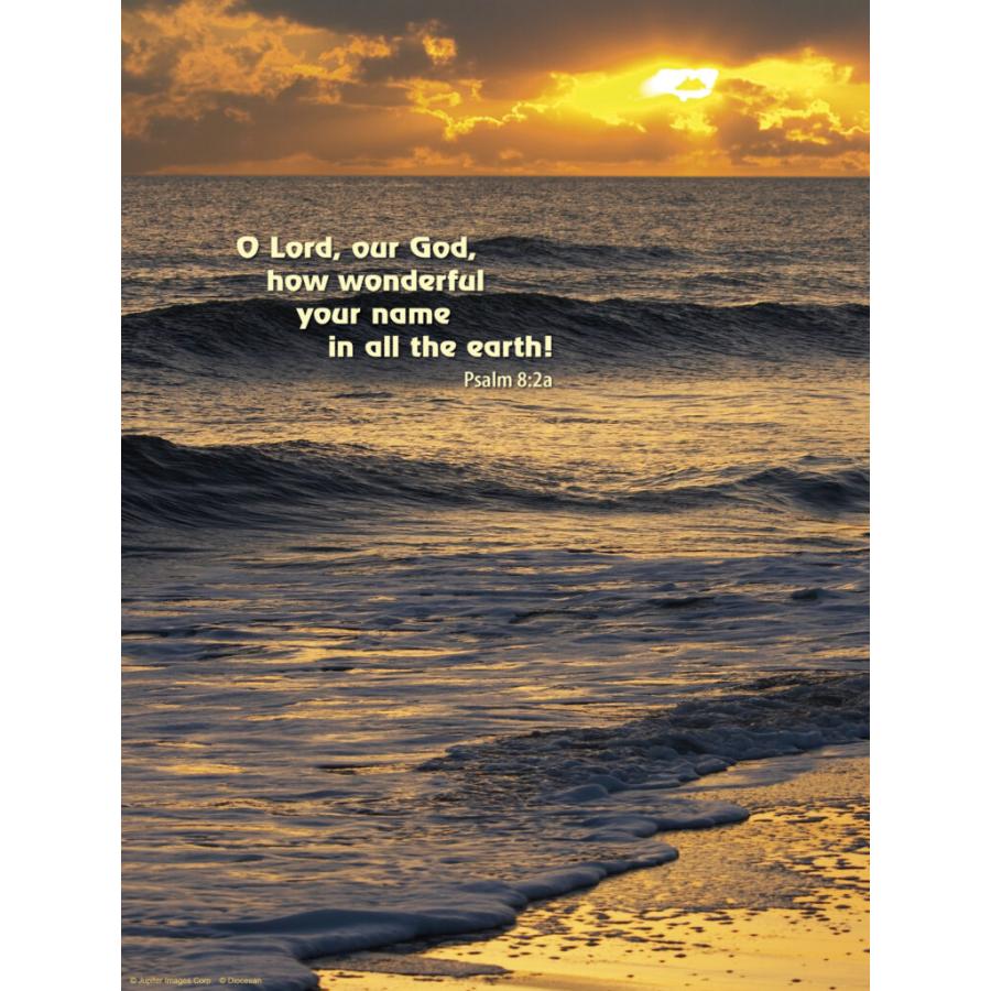 Holy Trinity C Cover - English | Diocesan