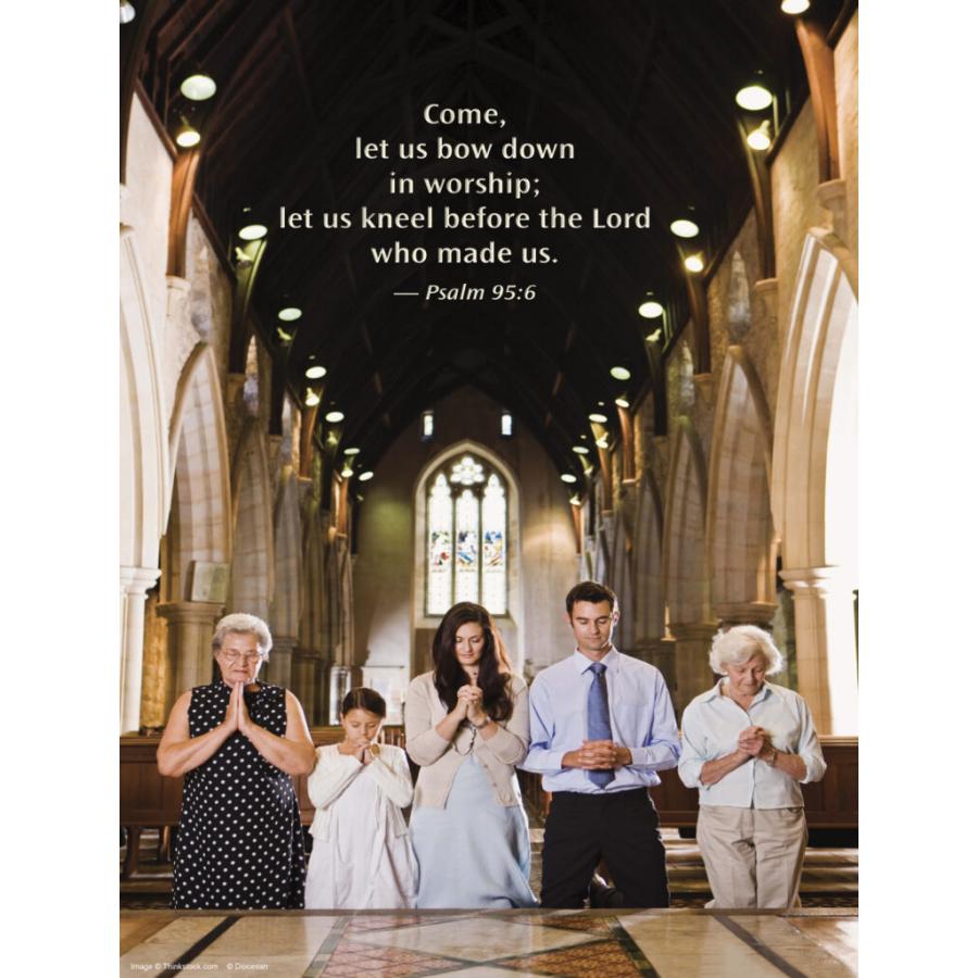 Twenty-seventh Sunday of Ordinary Time D Cover – English – Diocesan